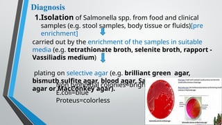 Salmonella food born disease caused in human | PPT