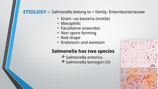 Salmonella food born disease caused in human | PPT