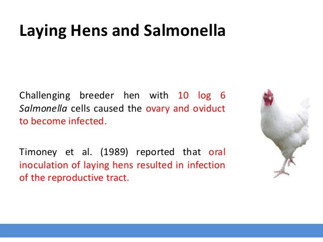 Salmonella in poultry