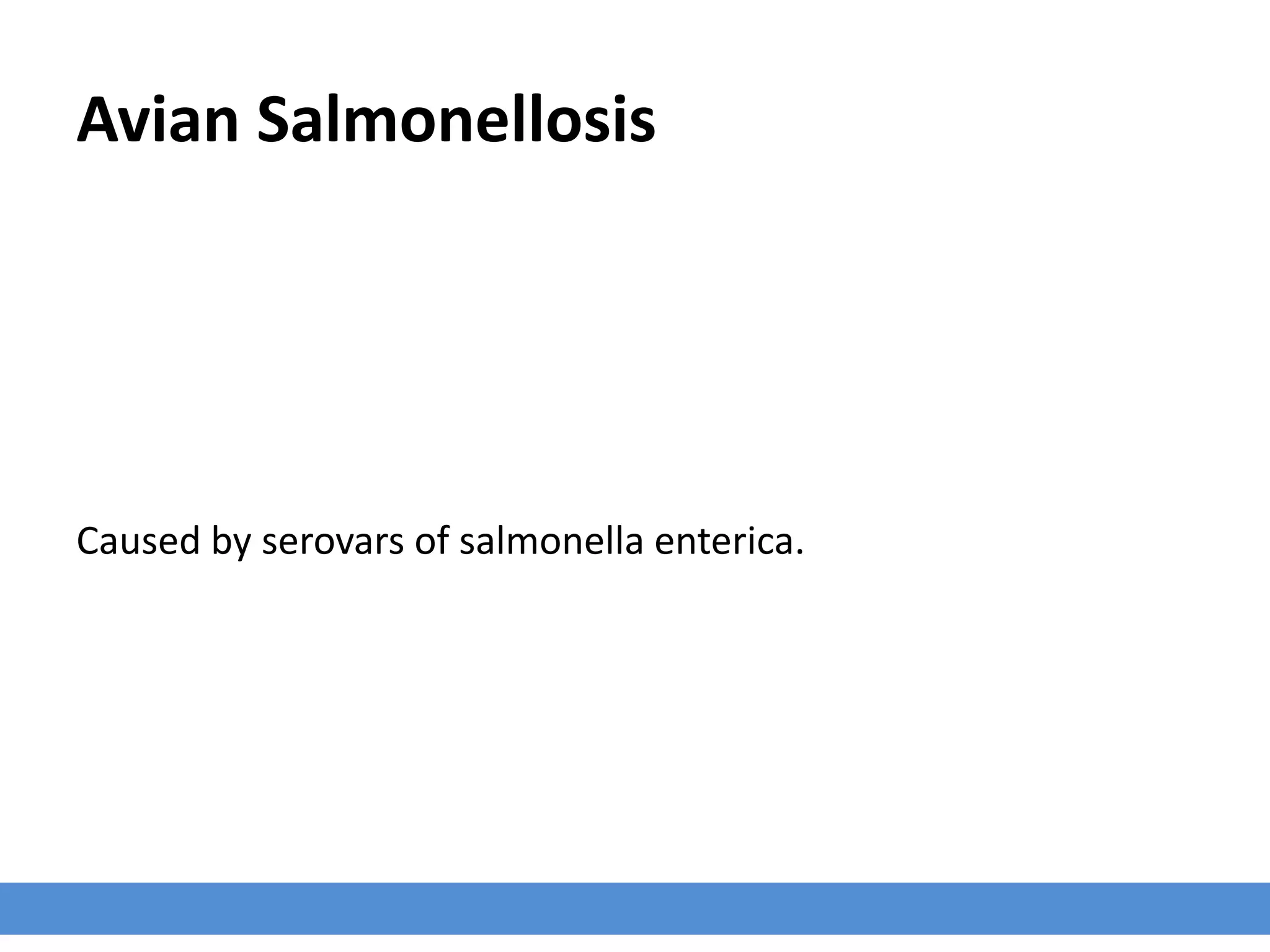 Salmonella in poultry_disease overview | PPTX