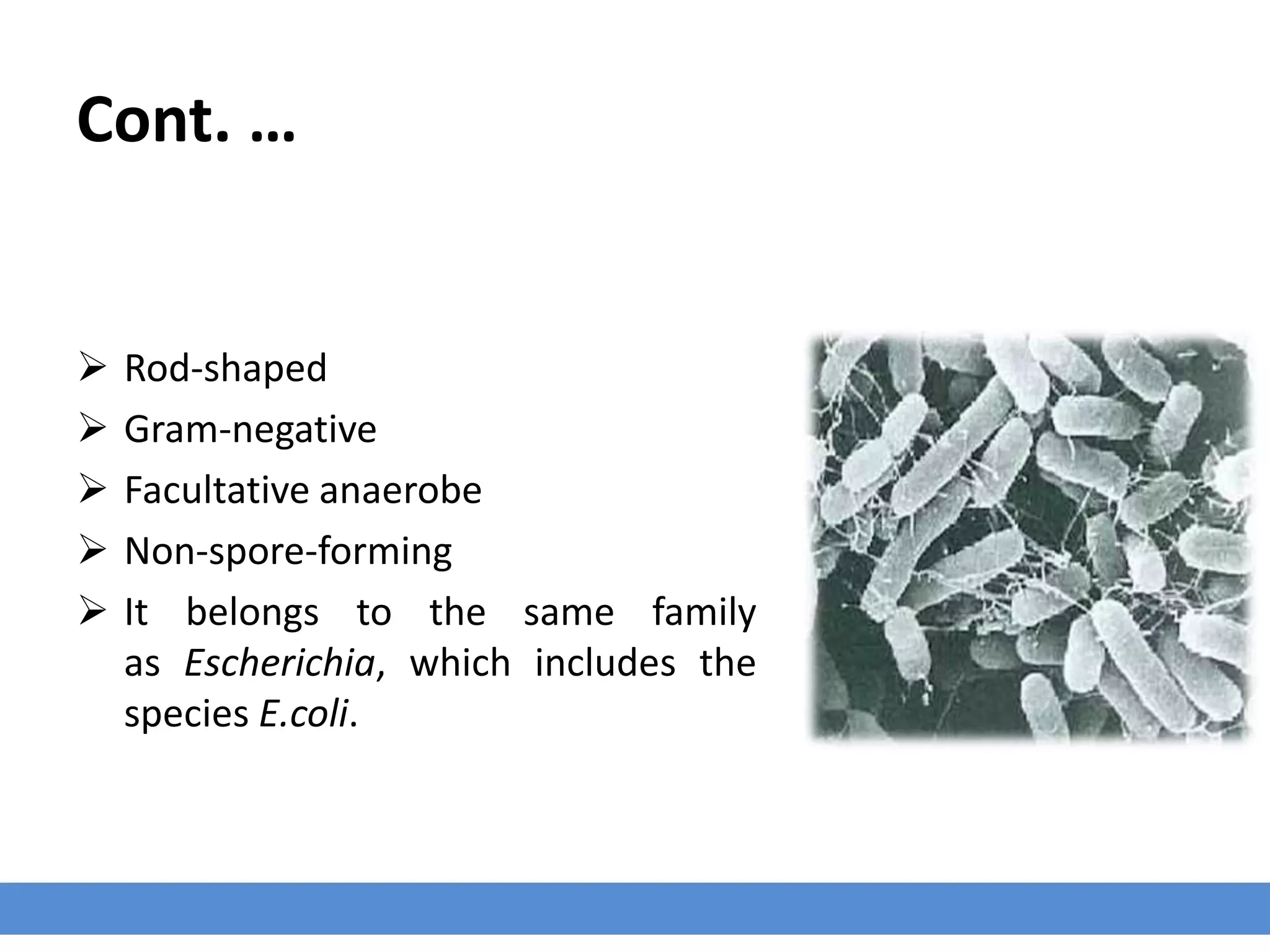 Salmonella in poultry_disease overview | PPTX