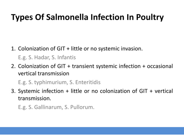 Salmonella in poultry_disease overview | PPTX | Infectious Diseases ...