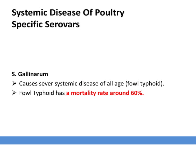Salmonella in poultry_disease overview | PPTX | Infectious Diseases ...