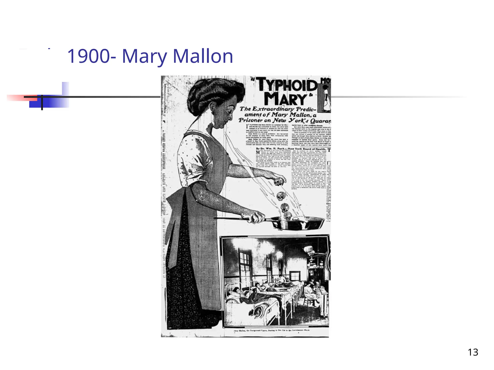 salmonella_lecture S. Paraty.S.typhi.ppt