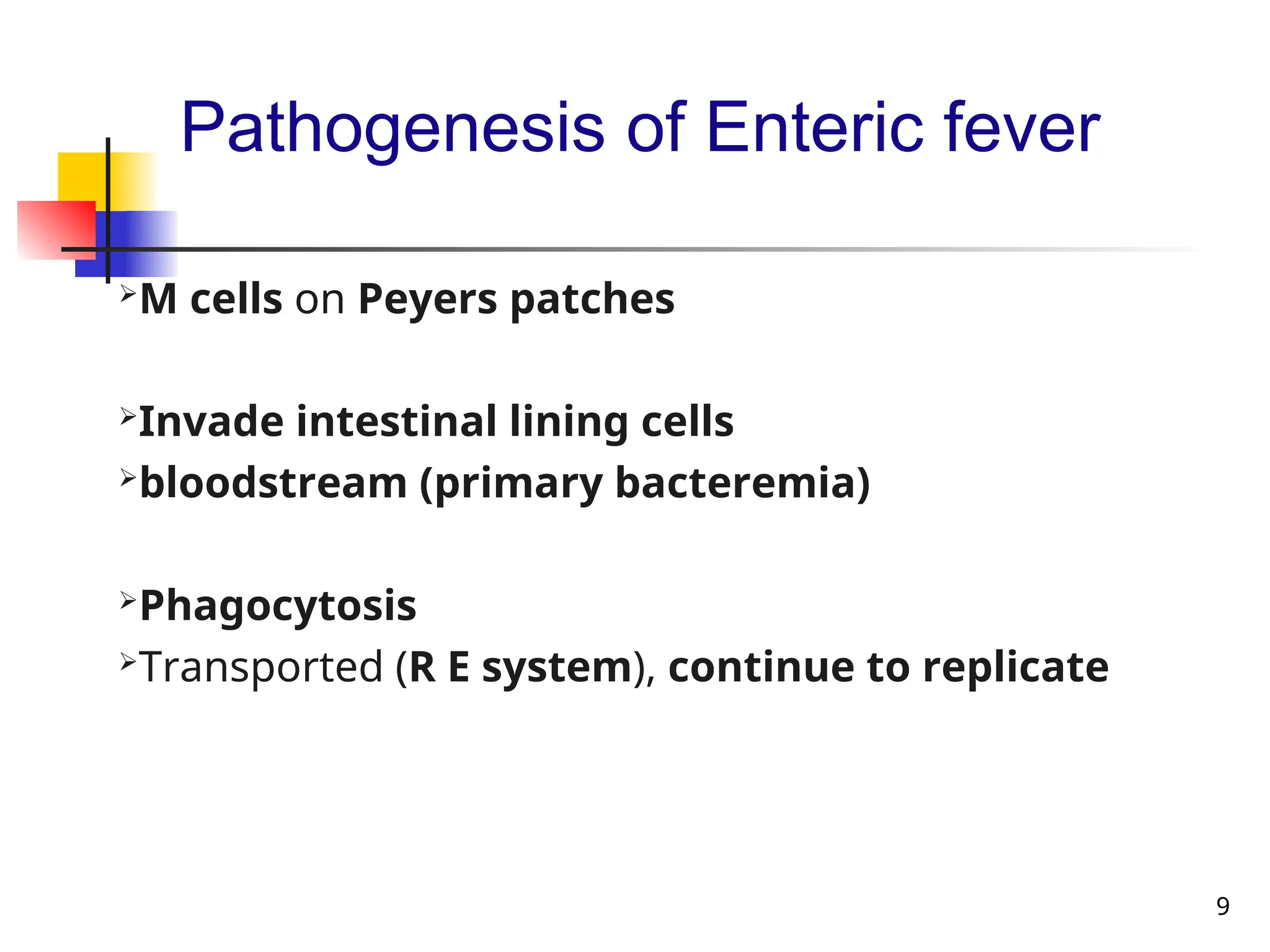 salmonella_lecture S. Paraty.S.typhi.ppt
