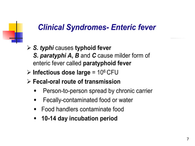 salmonella_lecture S. Paraty.S.typhi.ppt