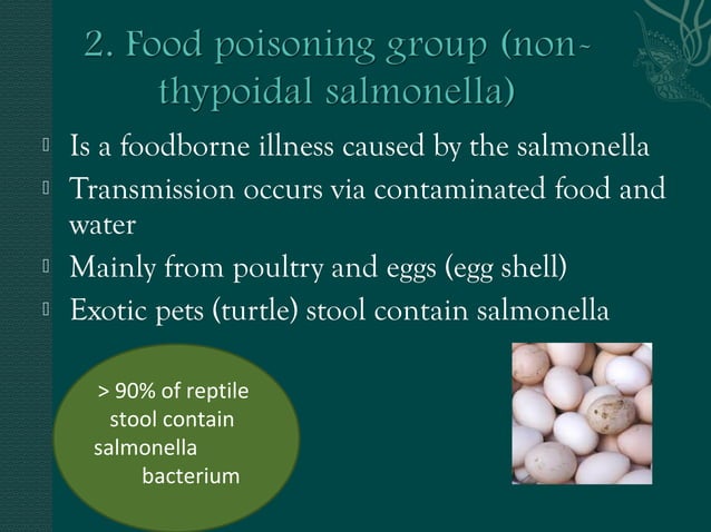 Salmonella | PPT | Infectious Diseases | Diseases and Conditions