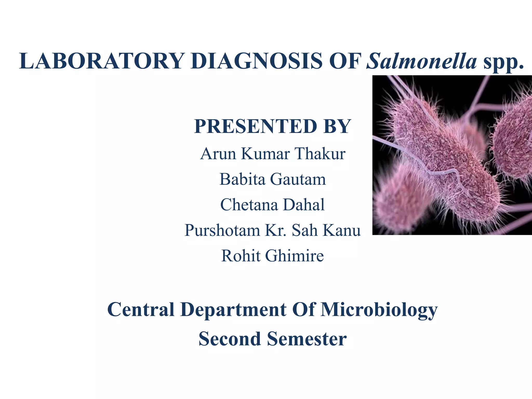 Salmonella presentation | PPTX