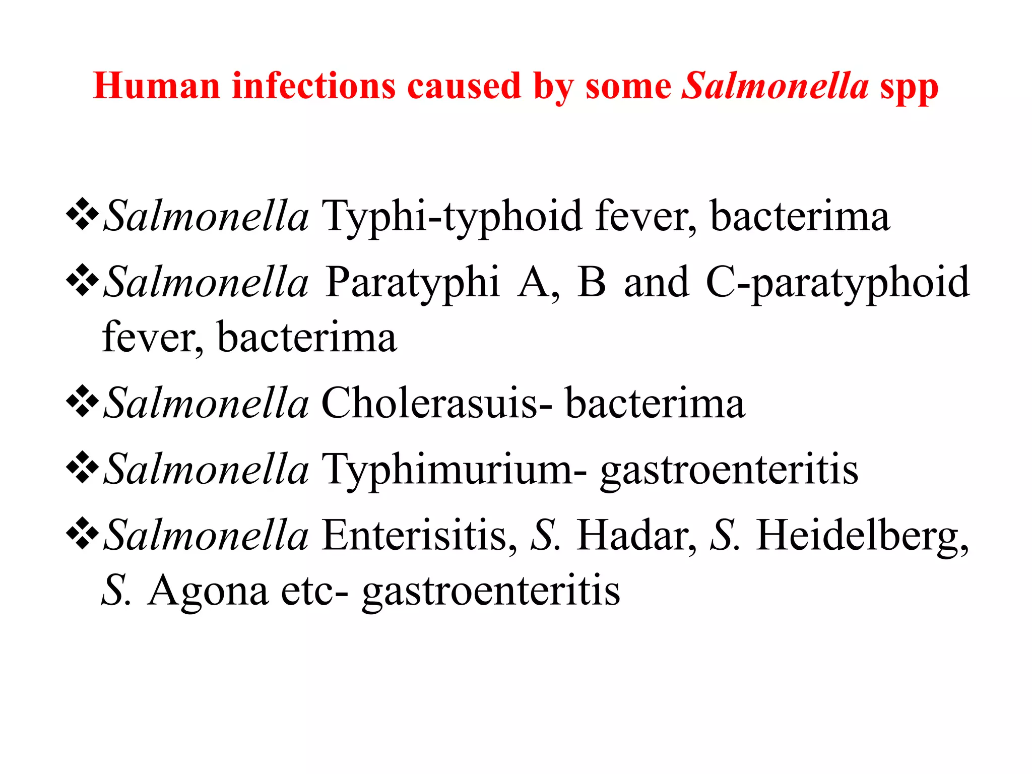Salmonella presentation | PPTX