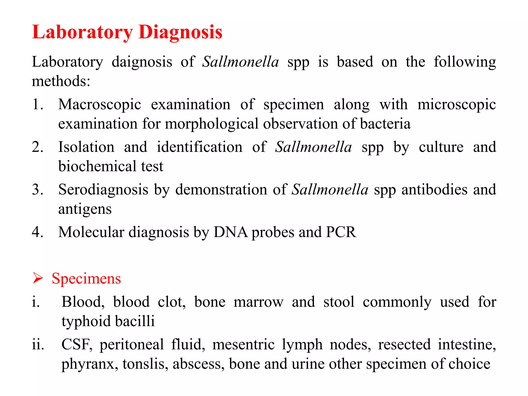 Salmonella presentation | PPTX