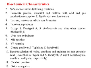 Salmonella presentation | PPTX