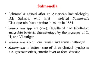 Salmonella presentation | PPTX