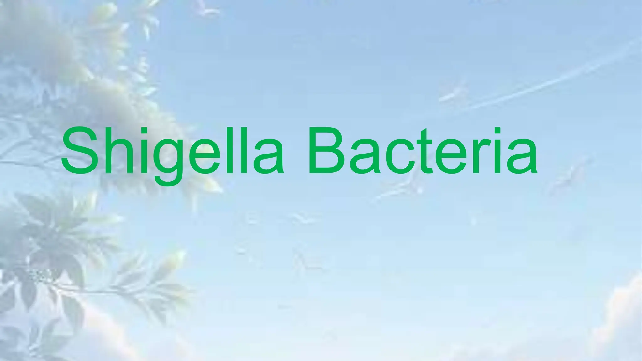 Microbiology- Bacteriology - Salmonella, Shigella & Proteus | PPTX