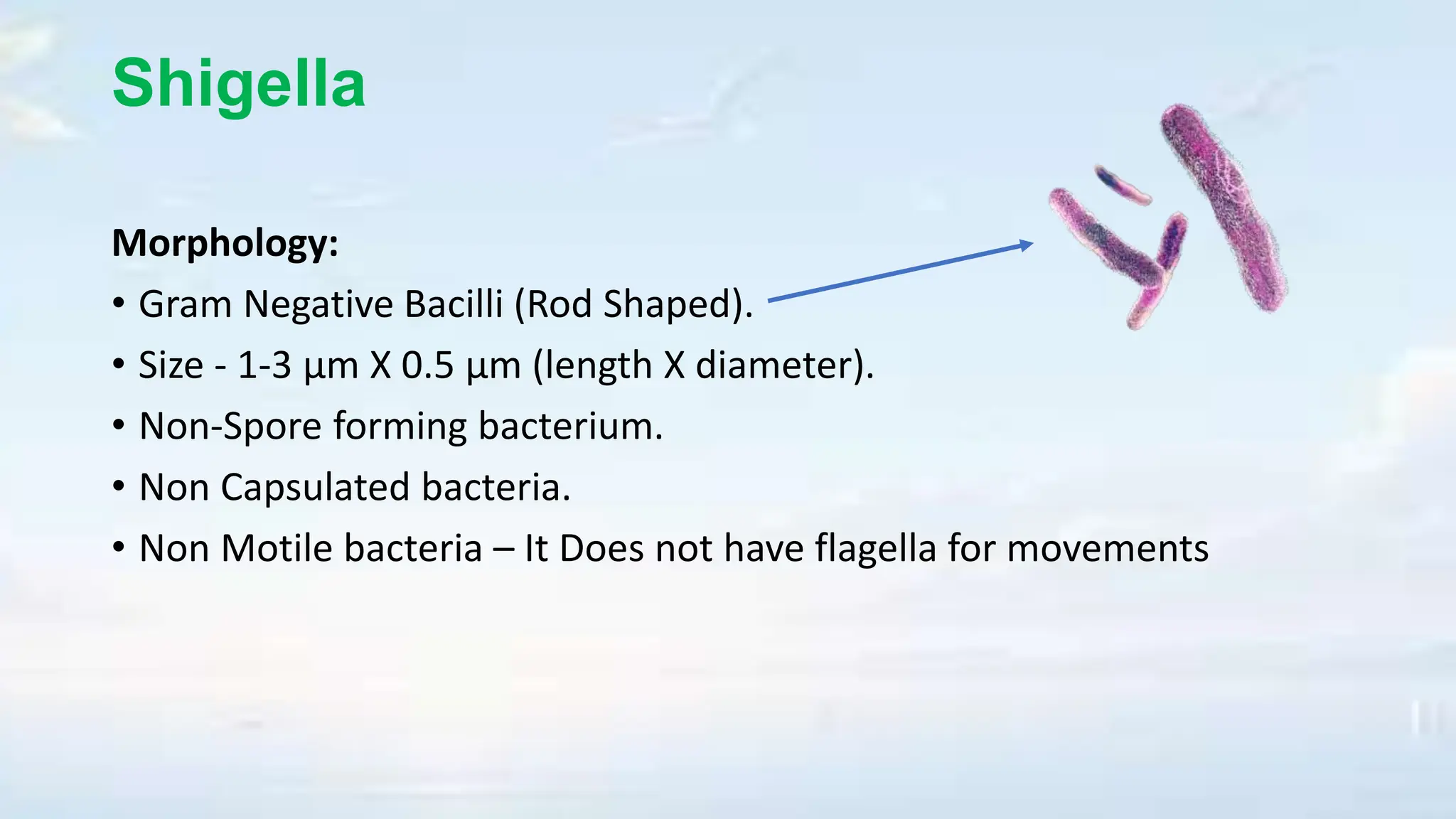 Microbiology- Bacteriology - Salmonella, Shigella & Proteus | PPTX