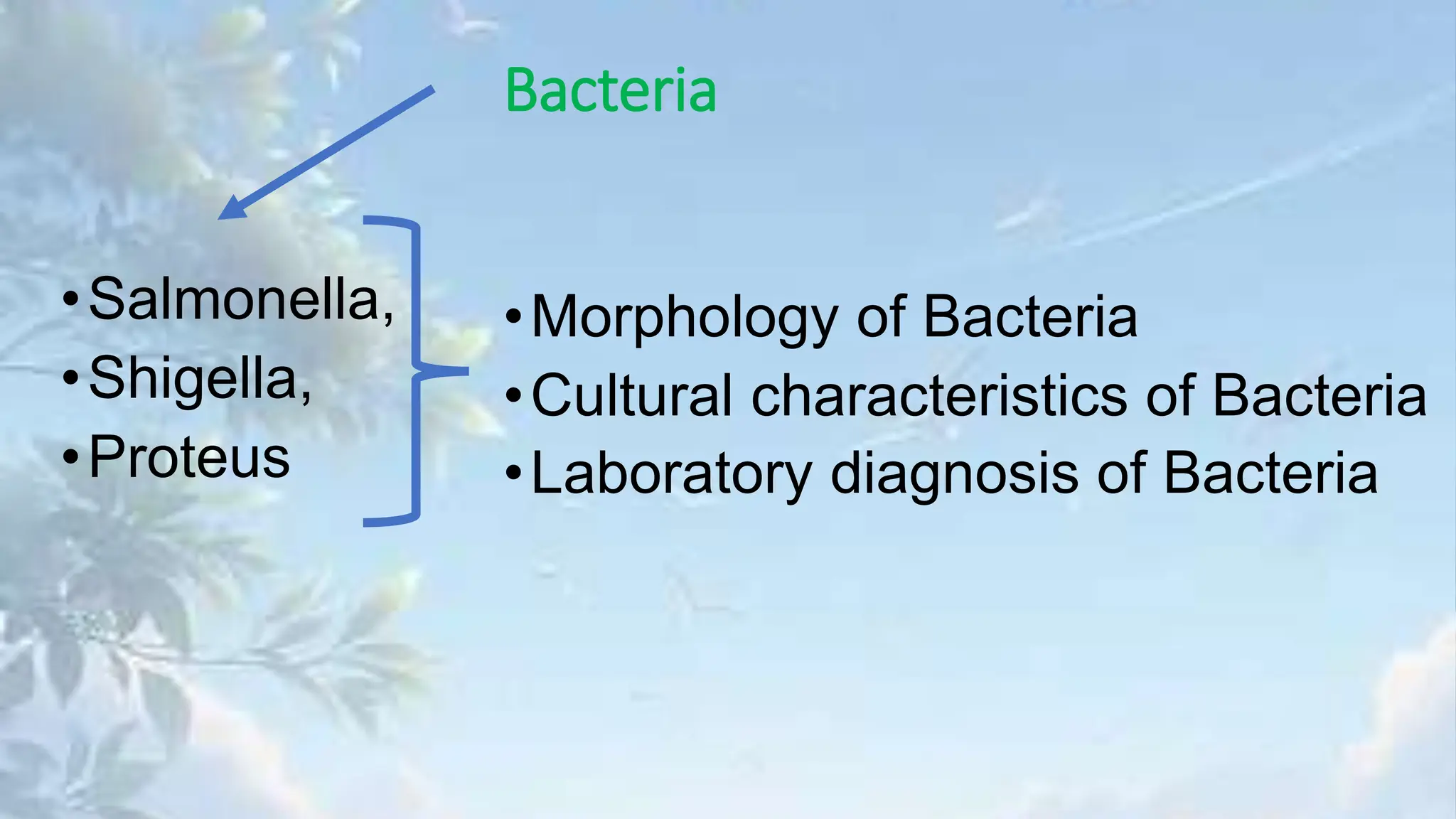 Microbiology- Bacteriology - Salmonella, Shigella & Proteus | PPTX