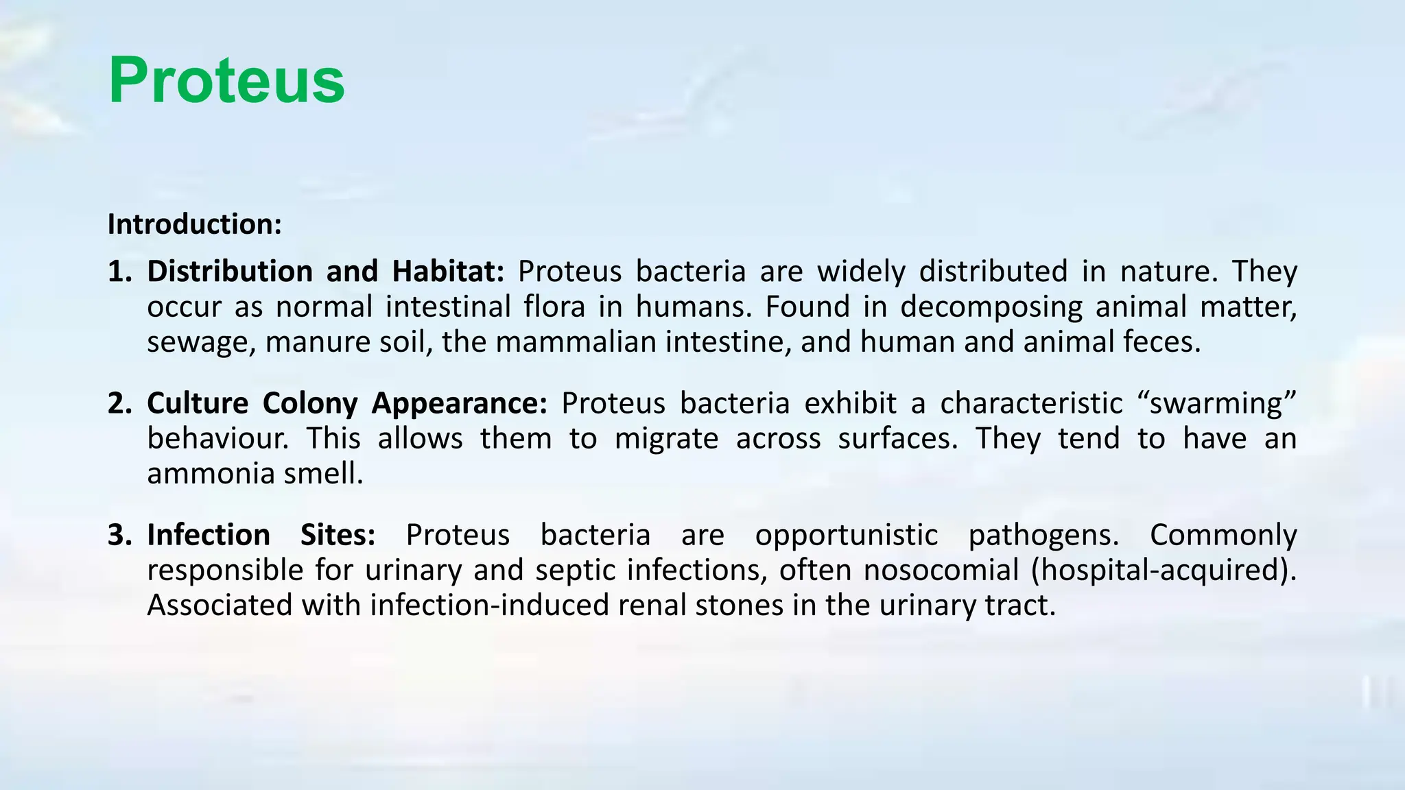 Microbiology- Bacteriology - Salmonella, Shigella & Proteus | PPTX