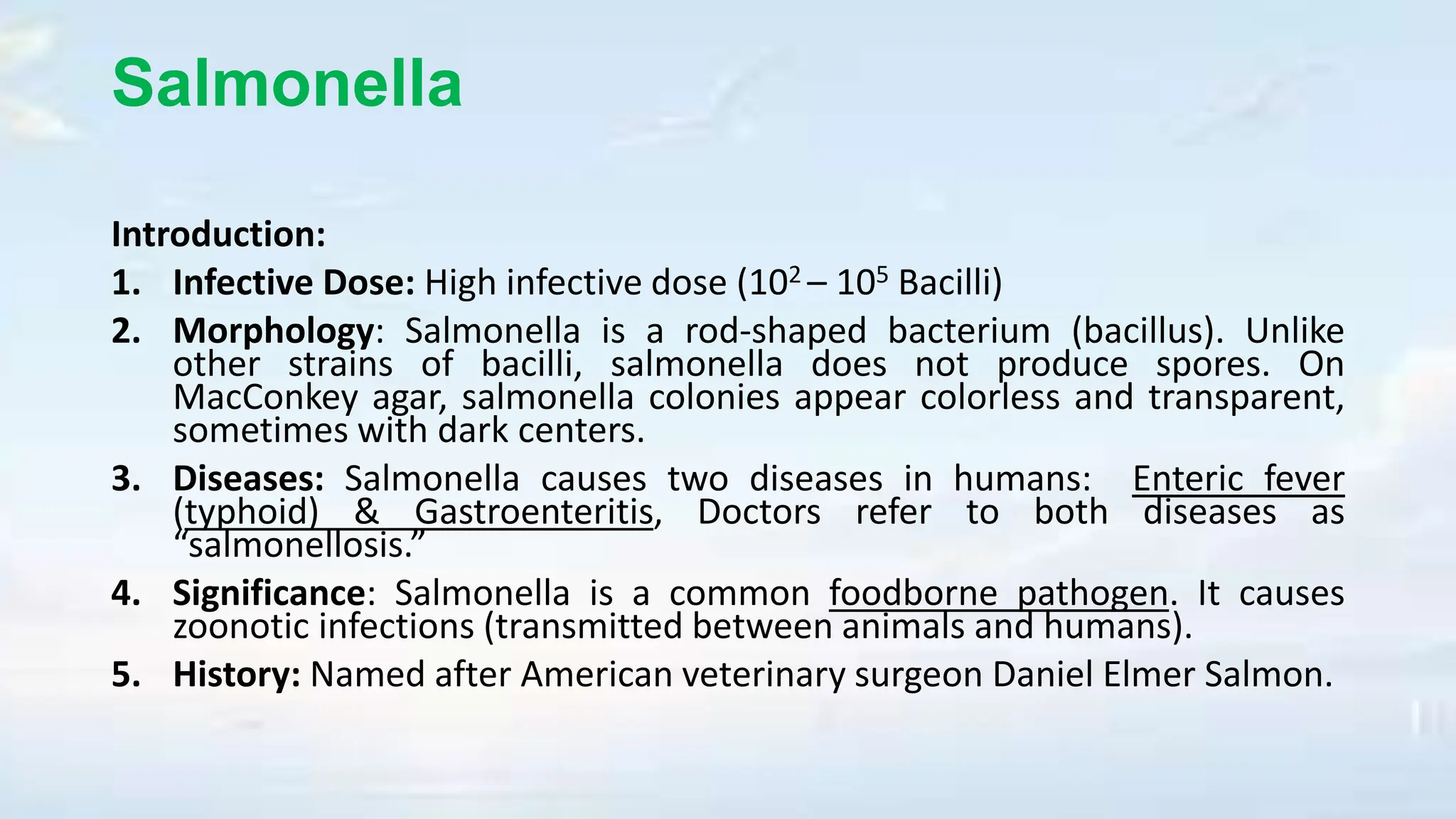 Microbiology- Bacteriology - Salmonella, Shigella & Proteus | PPTX