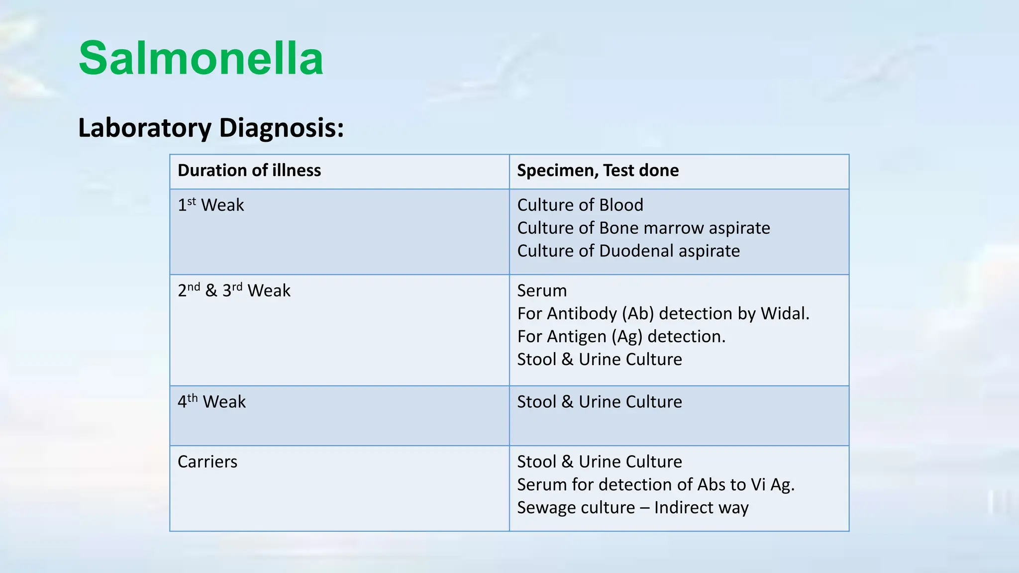 Microbiology- Bacteriology - Salmonella, Shigella & Proteus | PPTX
