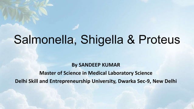 Microbiology- Bacteriology - Salmonella, Shigella & Proteus | PPTX
