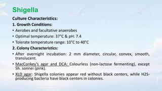 Microbiology- Bacteriology - Salmonella, Shigella & Proteus | PPTX