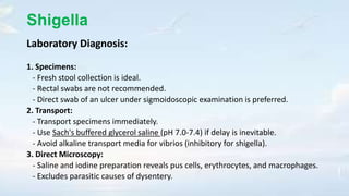 Microbiology- Bacteriology - Salmonella, Shigella & Proteus | PPTX