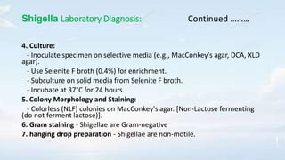 Microbiology- Bacteriology - Salmonella, Shigella & Proteus | PPTX