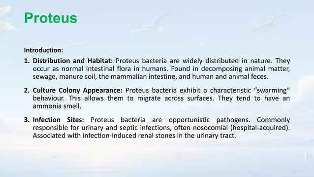 Microbiology- Bacteriology - Salmonella, Shigella & Proteus | PPTX