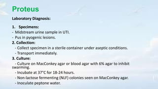 Microbiology- Bacteriology - Salmonella, Shigella & Proteus | PPTX