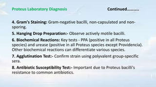 Microbiology- Bacteriology - Salmonella, Shigella & Proteus | PPTX
