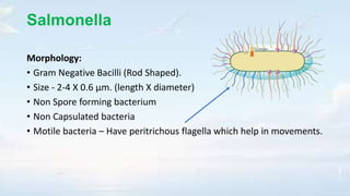 Microbiology- Bacteriology - Salmonella, Shigella & Proteus | PPTX