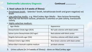 Microbiology- Bacteriology - Salmonella, Shigella & Proteus | PPTX