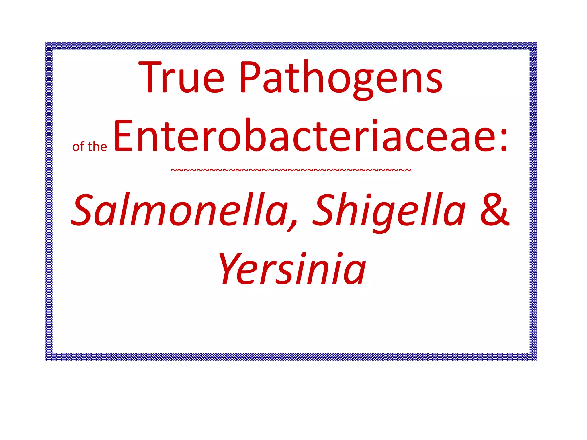 Salmonella Shigella Yersinia.ppt