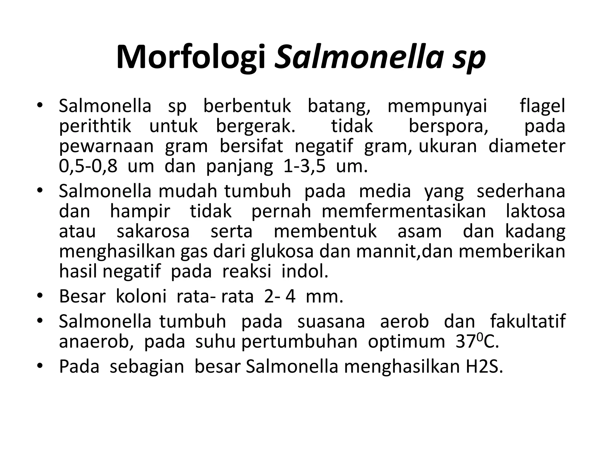 Salmonella sp.pptx