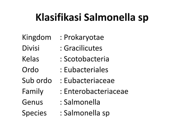 Salmonella sp.pptx