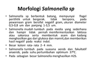 Salmonella sp.pptx