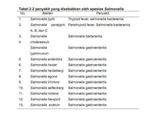 Salmonella sp.pptx