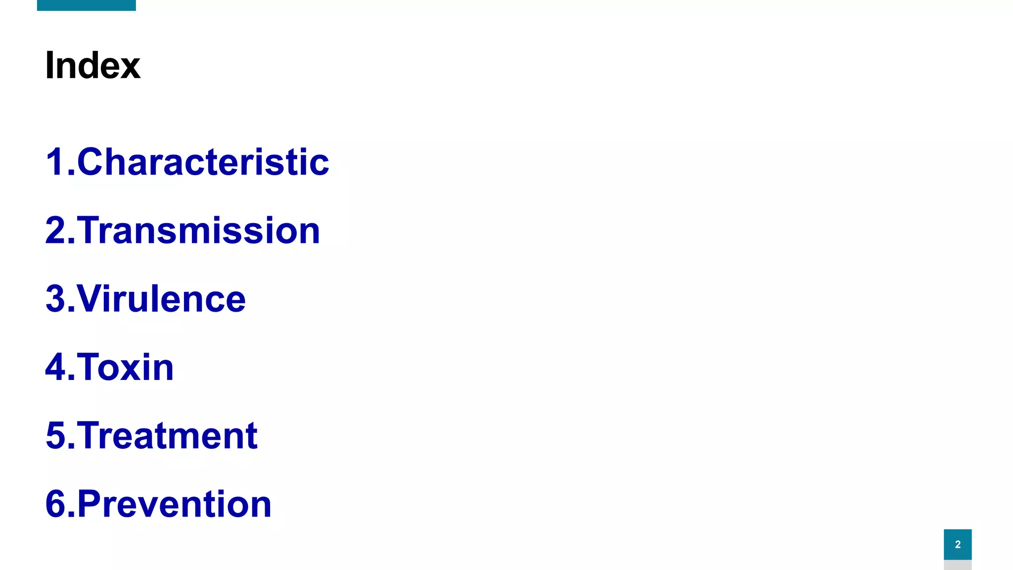 Salmonella spp | PPTX