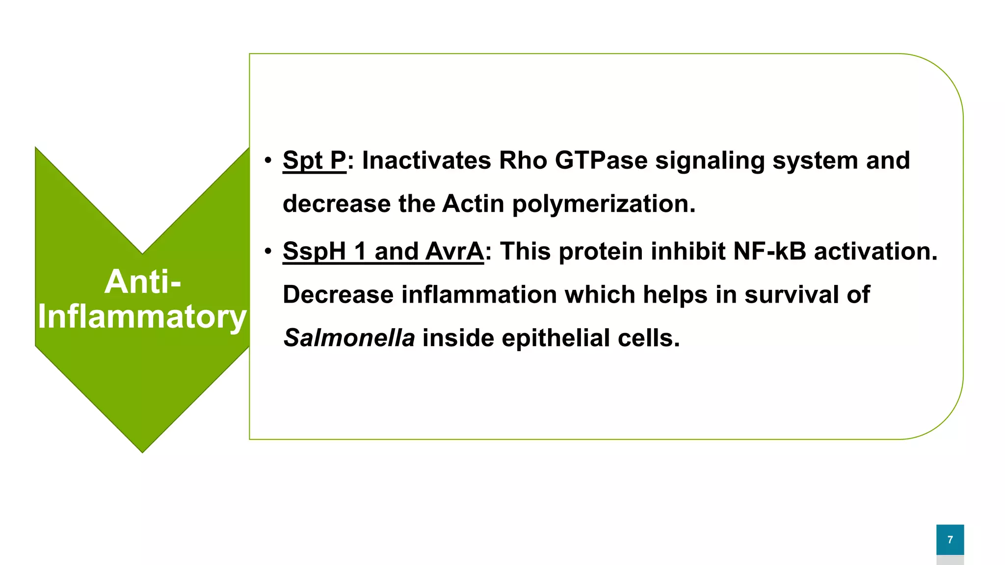 Salmonella spp | PPTX