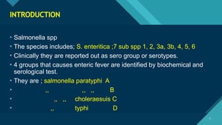 SALMONELLA SPP.pptx microbiology bacterial study for medical students | PPTX