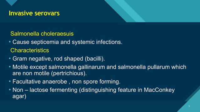 SALMONELLA SPP.pptx microbiology bacterial study for medical students ...