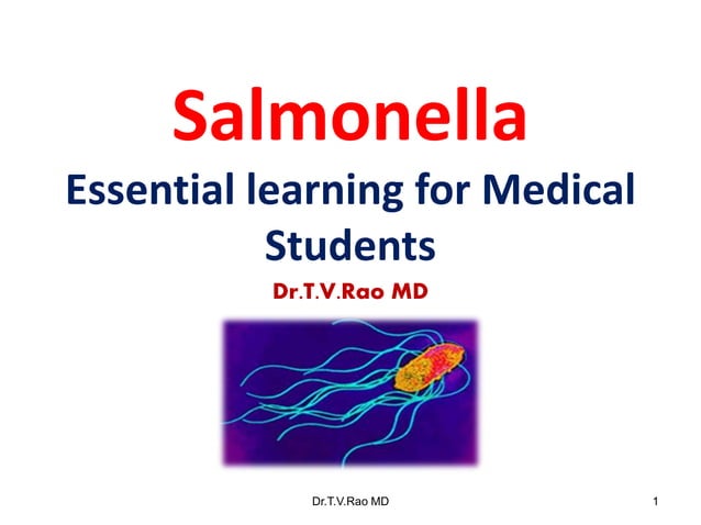 Salmonella Essential learning for Medical Students | PPTX | Infectious ...