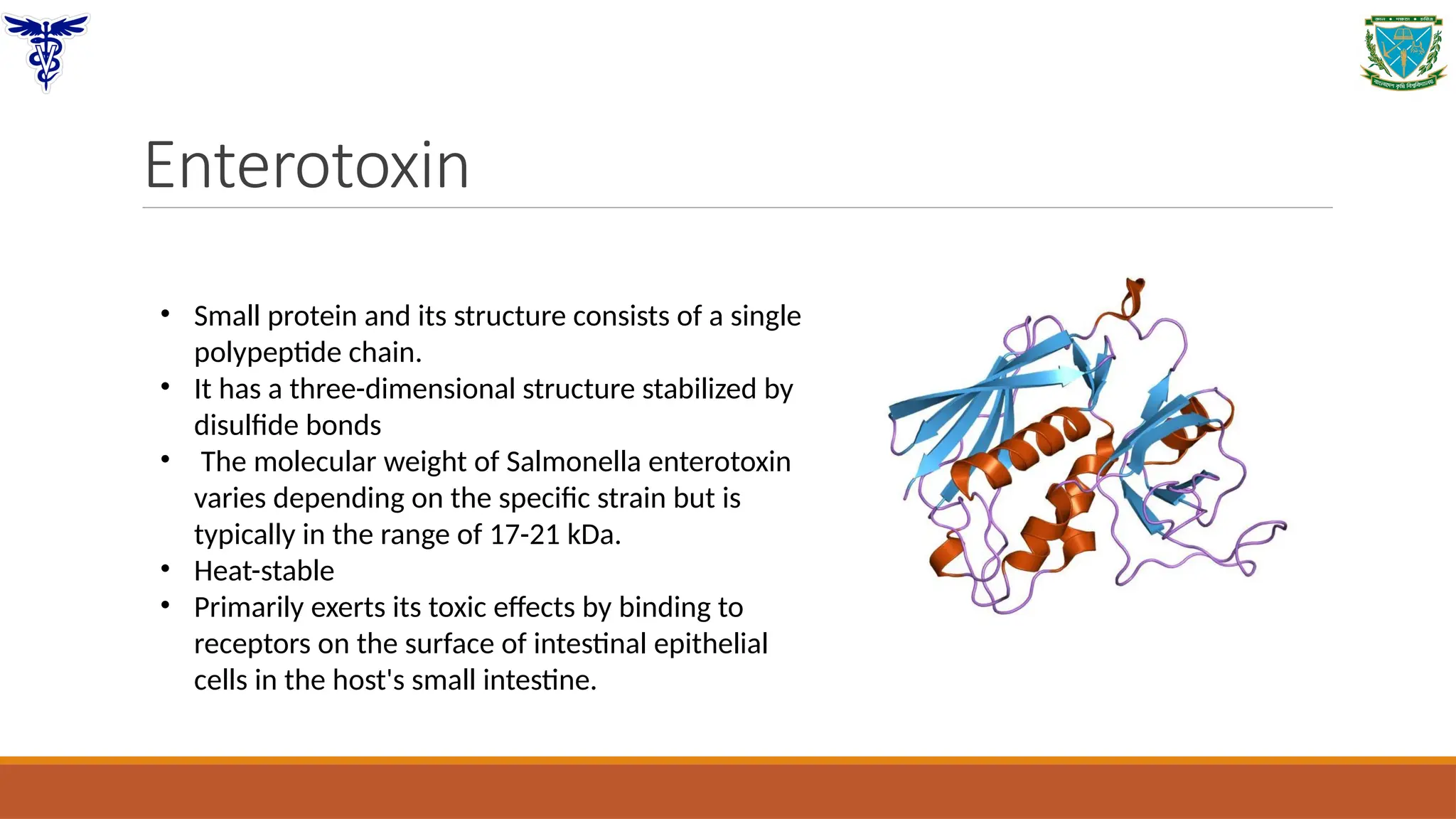 Salmonella toxins produced by different Salmonella spp. and their toxic ...