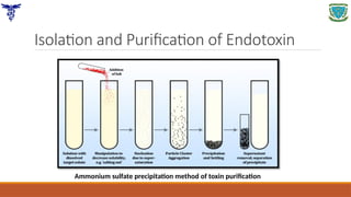 Salmonella toxins produced by different Salmonella spp. and their toxic ...