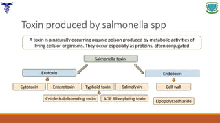 Salmonella toxins produced by different Salmonella spp. and their toxic effects | PPTX