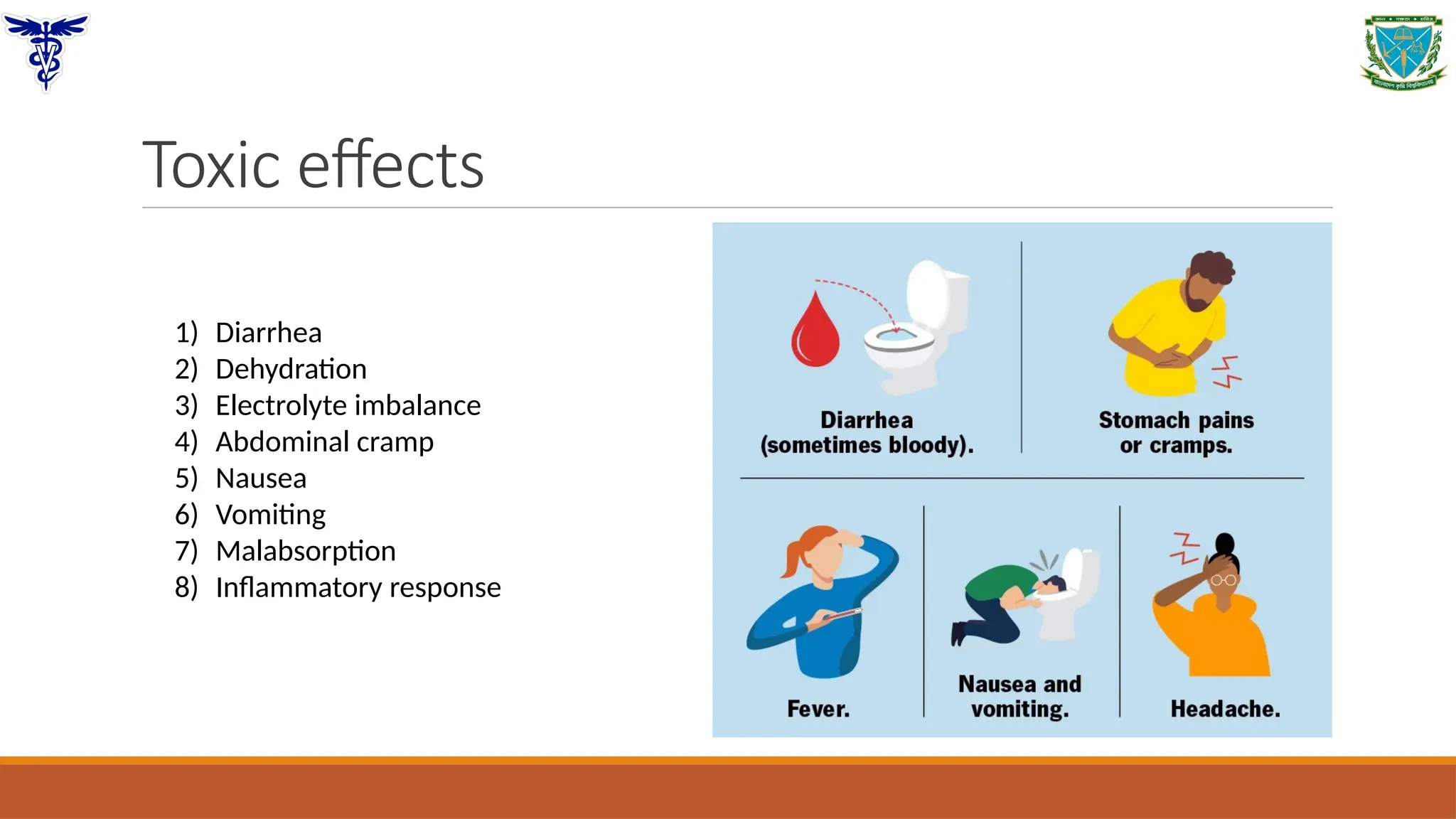 Salmonella toxin with their toxic effects | PPT