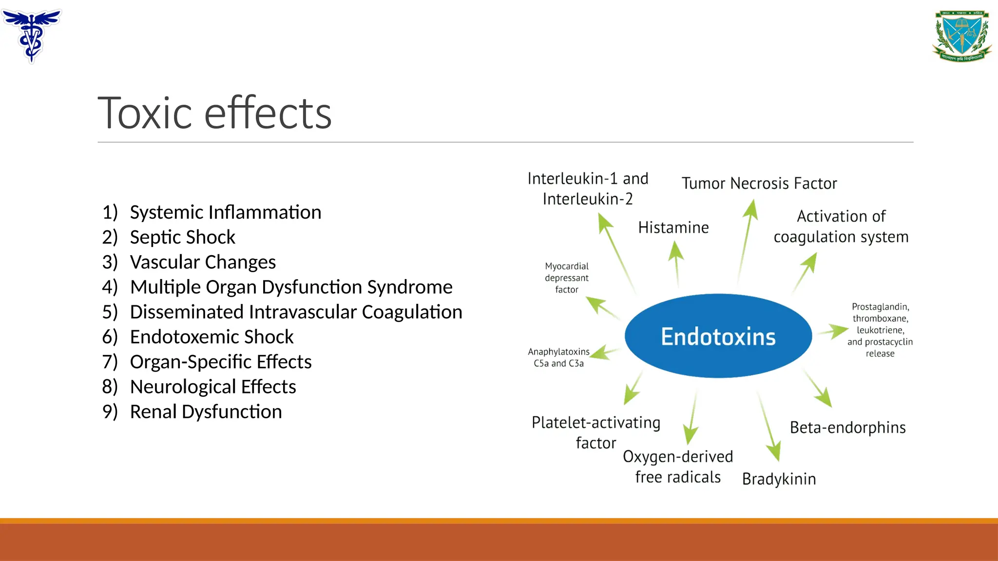 Salmonella toxin with their toxic effects | PPTX