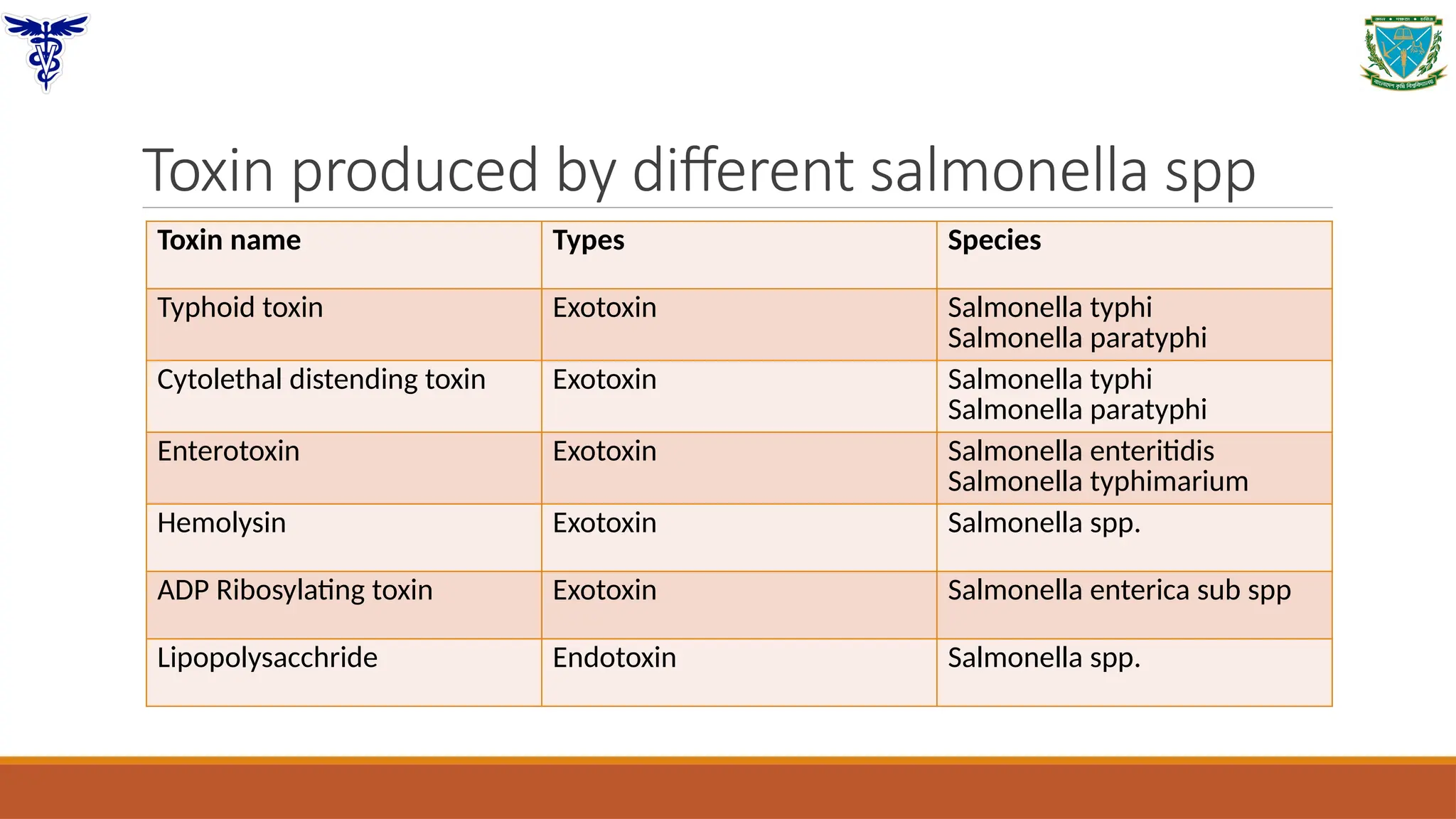 Salmonella toxin with their toxic effects | PPT