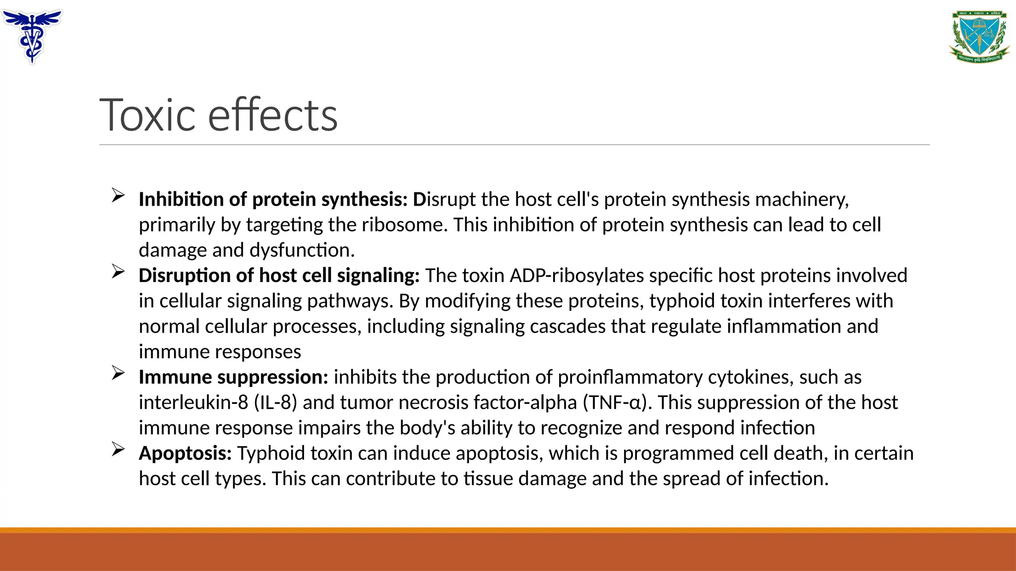 Salmonella toxin with their toxic effects | PPTX