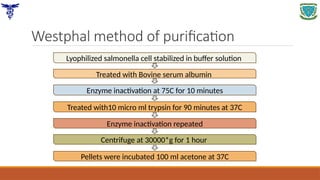Salmonella toxin with their toxic effects | PPT