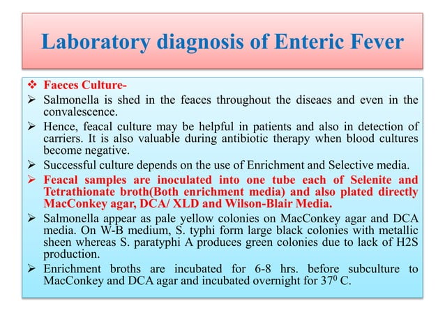 Salmonella typhi | PPTX